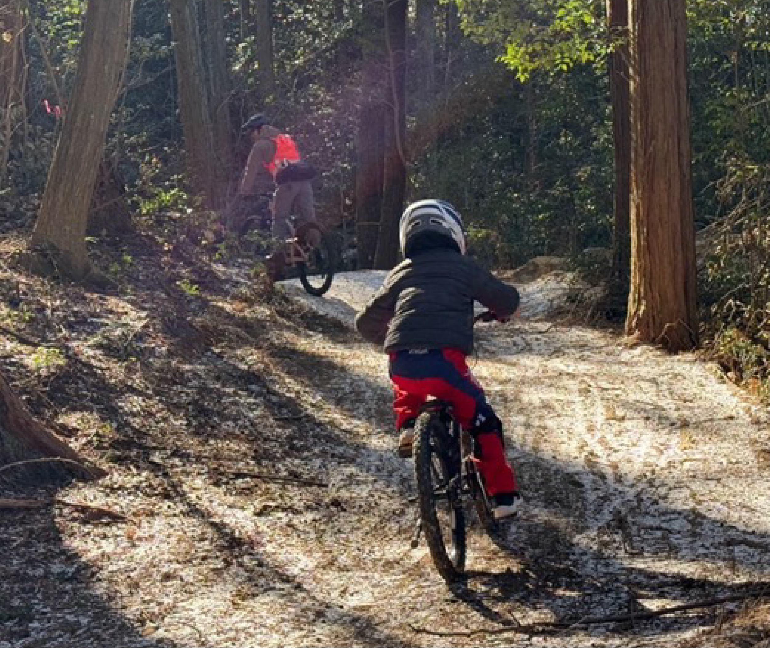 MOUNTAIN BIKE FOREST KOBE