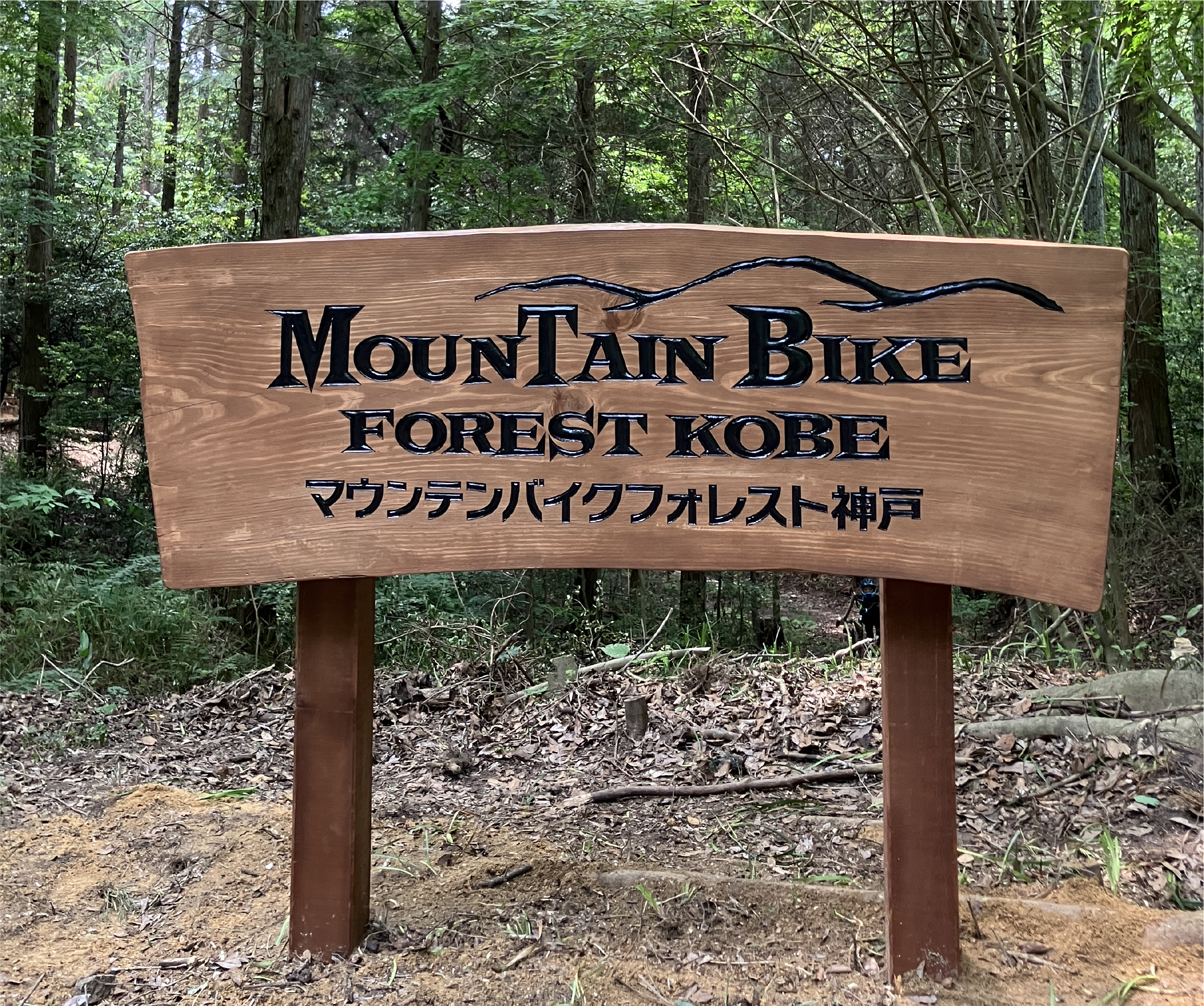 MOUNTAIN BIKE FOREST KOBE