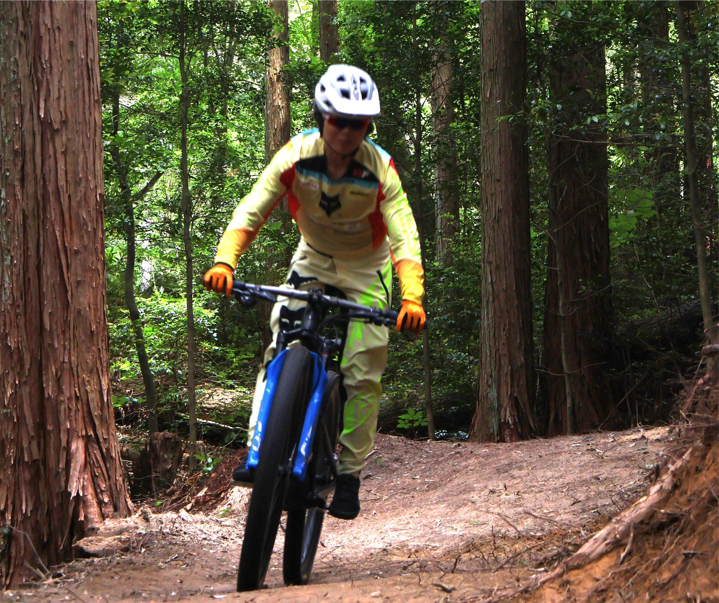 MOUNTAIN BIKE FOREST KOBE