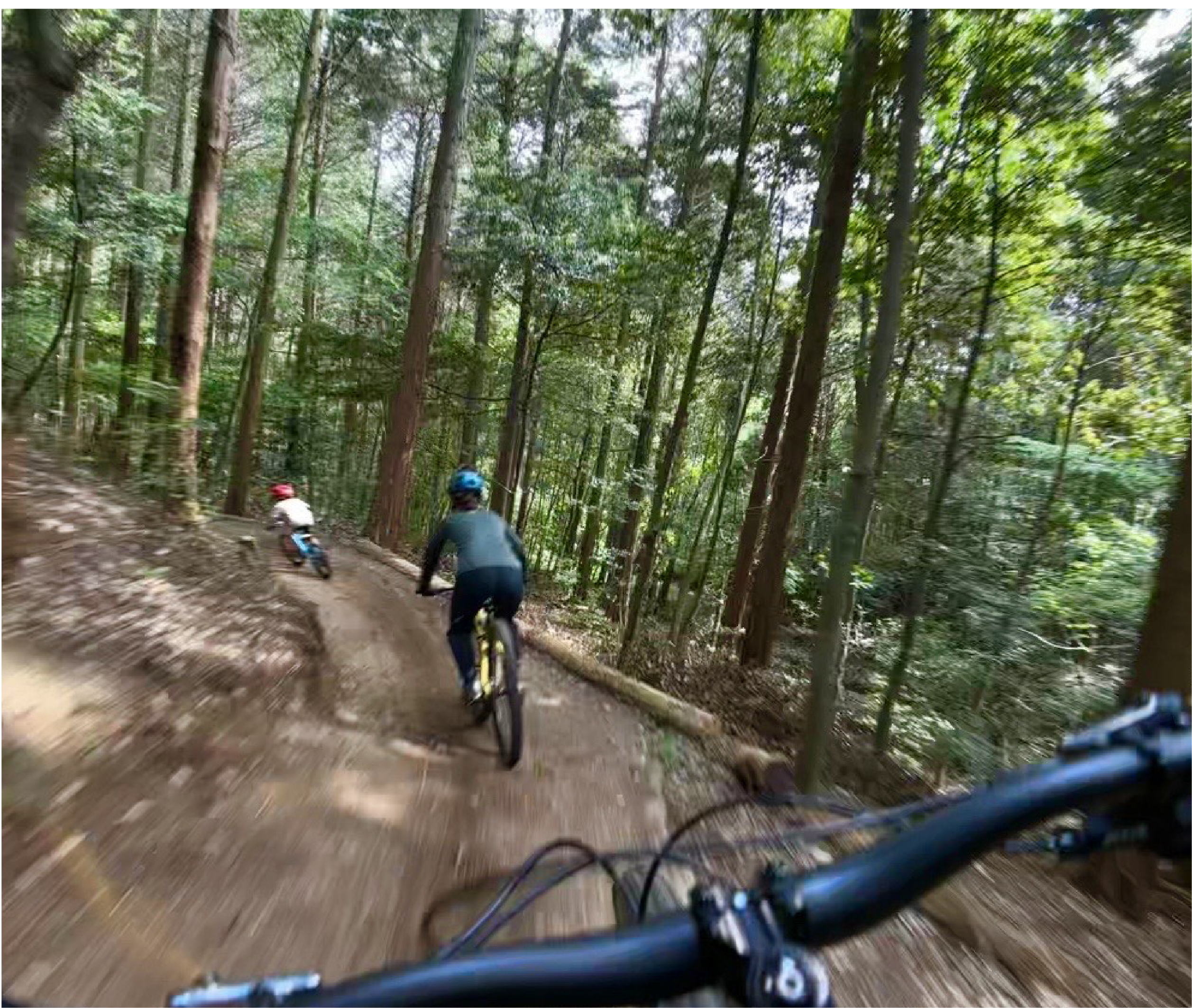 MOUNTAIN BIKE FOREST KOBE