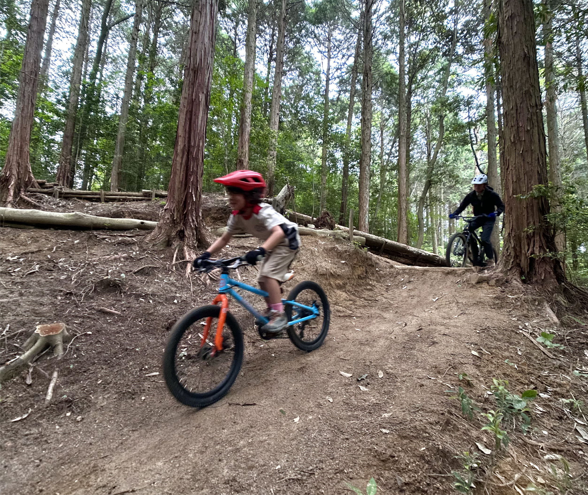 MOUNTAIN BIKE FOREST KOBE